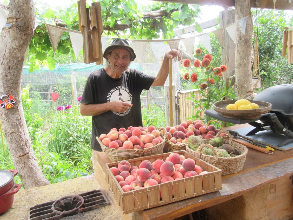Welcome to the new Permaculture Australia Board. - Permaculture Australia