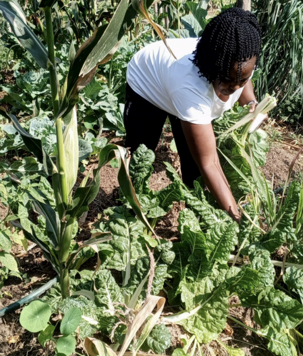 No time like End of Financial Year for Fairshare - Permaculture Australia
